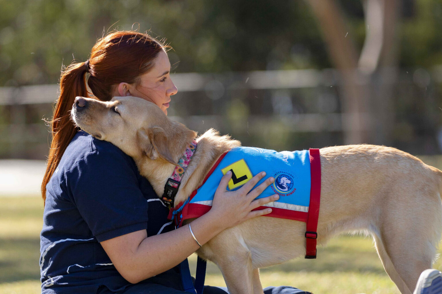 Assistance Dogs Australia
